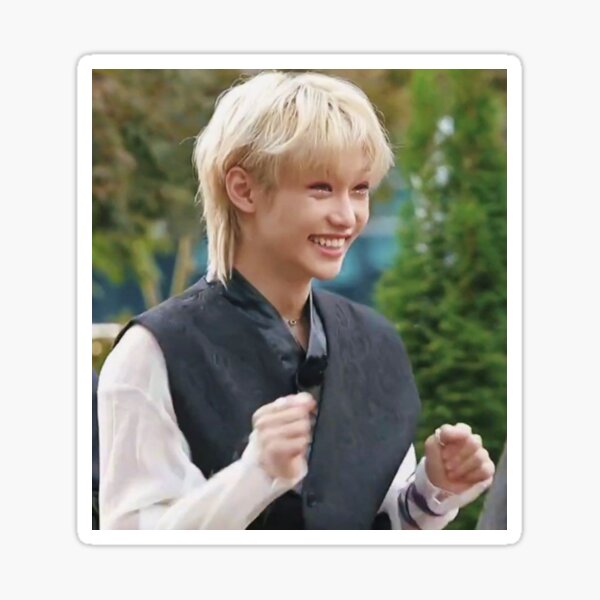 "Lee Felix straykids" Sticker for Sale by Divya21 | Redbubble