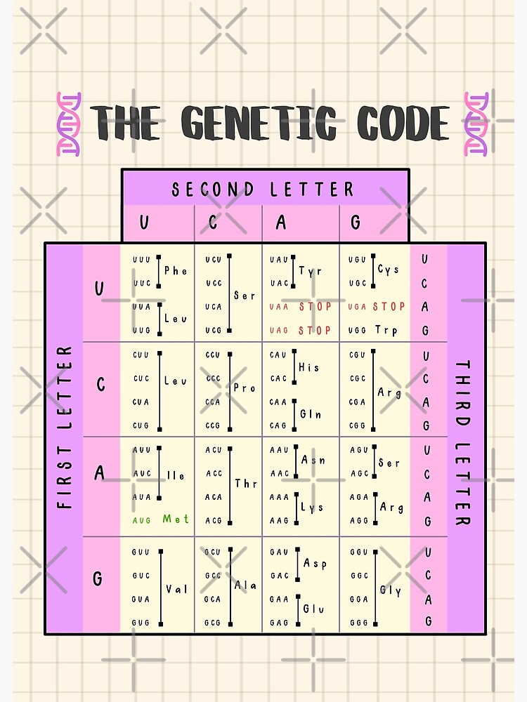 "The Genetic Code Cute Aesthetic in Pink and Purple" Poster for Sale by ...