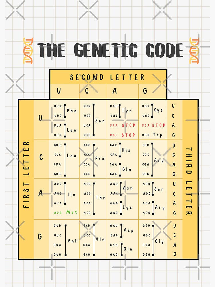"The Genetic Code Cute Aesthetic in Yellow" Sticker for Sale by ...