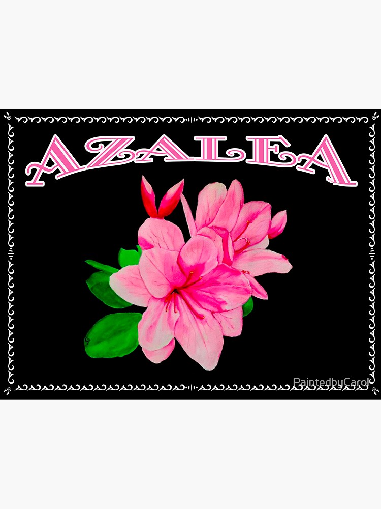 "Azalea Label" Sticker for Sale by PaintedbyCarol | Redbubble
