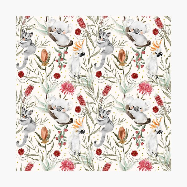 "Australiana Floral Pattern with Koalas and Possums" Photographic Print ...