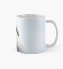 Free Rein Gifts & Merchandise | Redbubble
