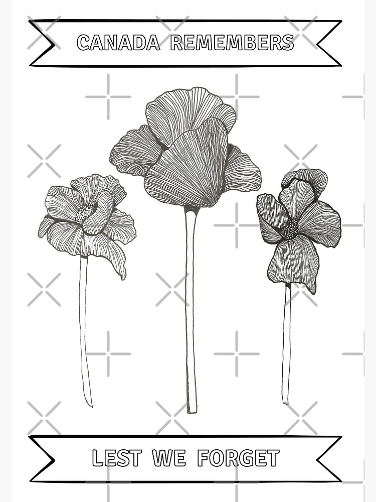 "Canada Remembers Lest We Forget Hand Drawn Poppy Line Drawing Canadian ...
