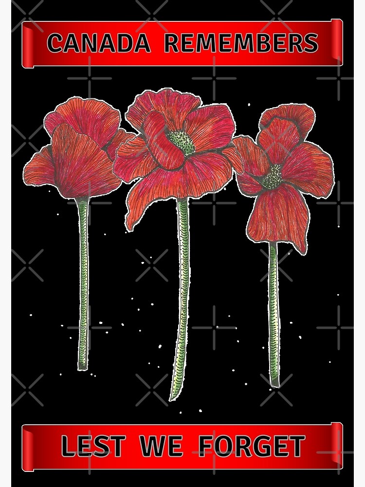 "Canada Remembers Lest We Forget Hand Drawn Poppy Line Drawing Canadian ...