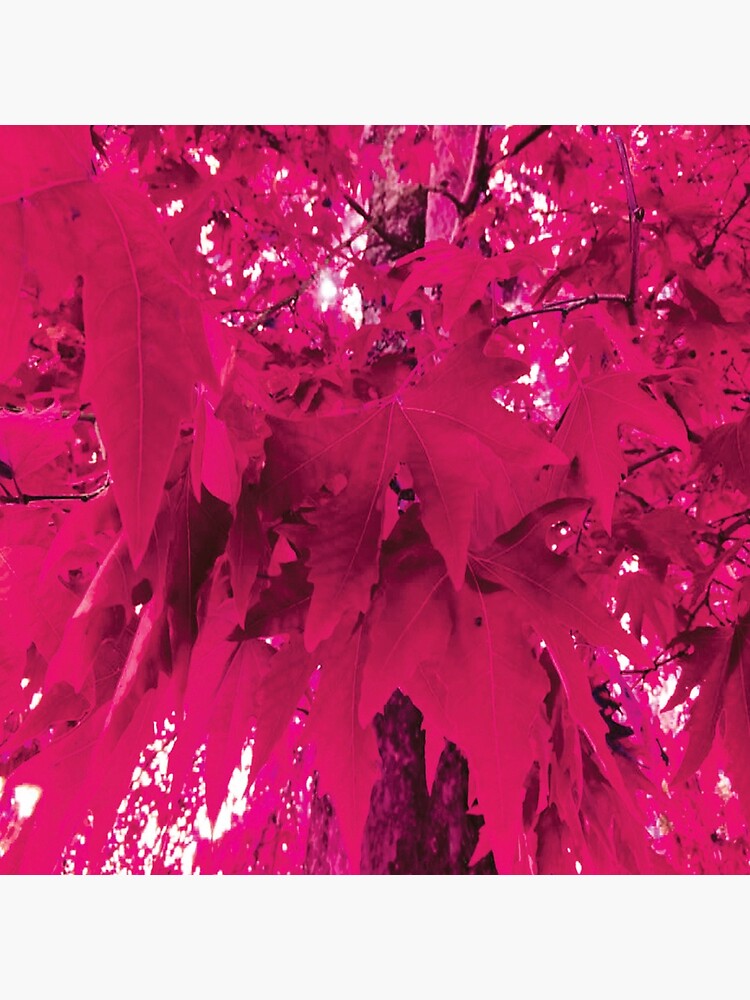 Póster «textura de hojas de color rosa rojizo» de Abharan | Redbubble