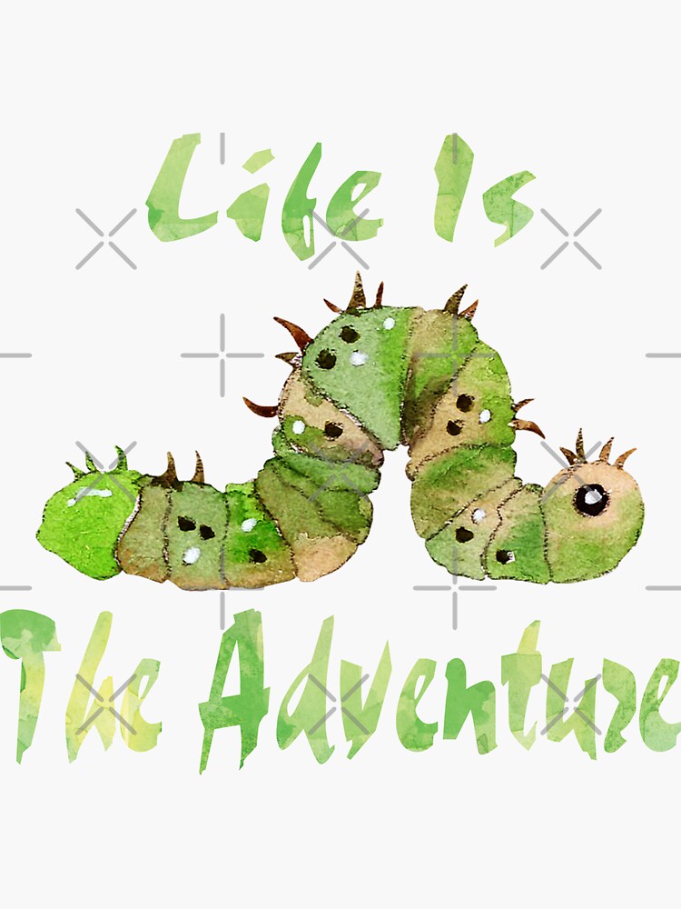 "Life Is Adventure Watercolor" Sticker for Sale by SportsT-Shirts ...