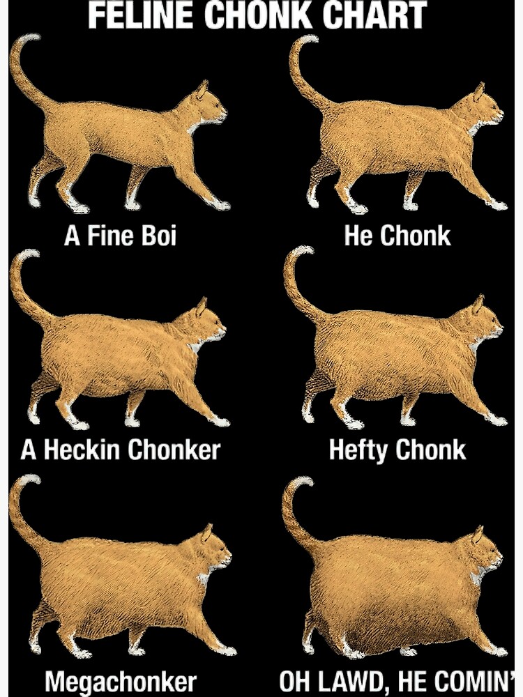 "Feline Chonk Chart, Funny Chonk Cat Meme " Art Print for Sale by ...