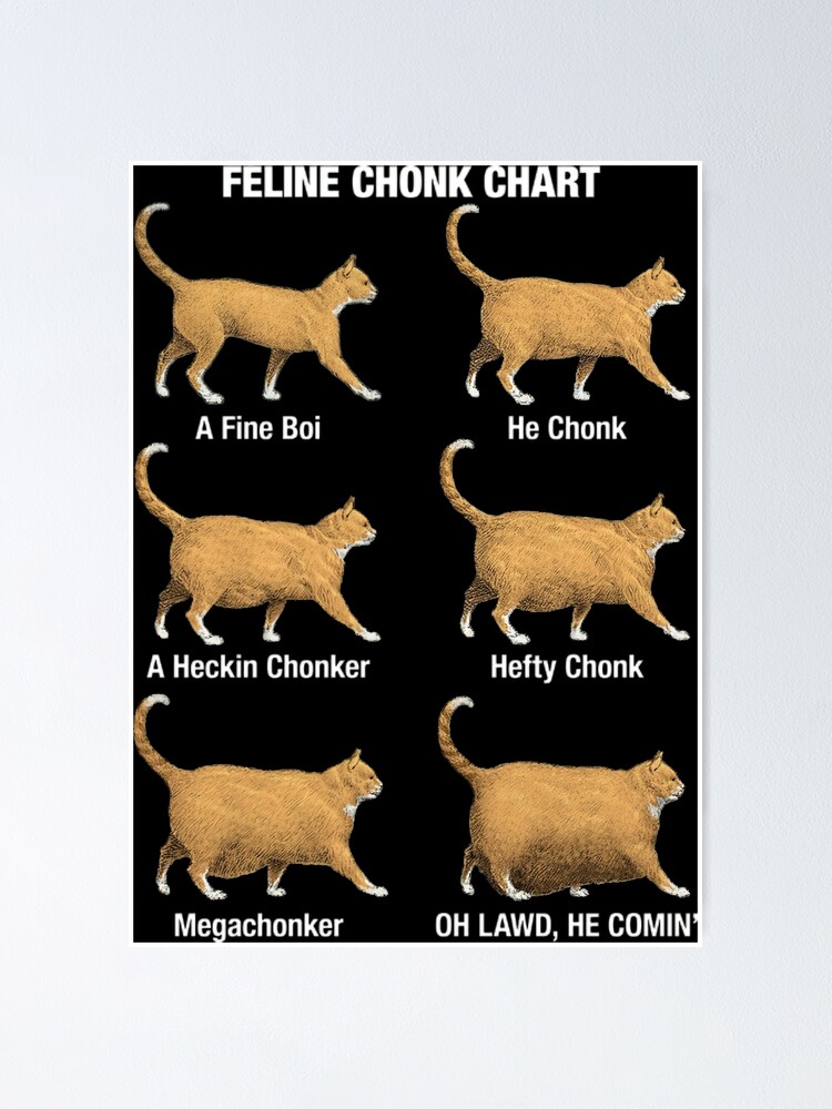 "Feline Chonk Chart, Funny Chonk Cat Meme " Poster by decisionnewly ...