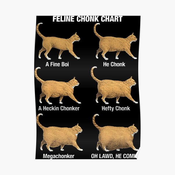 "Feline Chonk Chart, Funny Chonk Cat Meme " Poster by decisionnewly ...