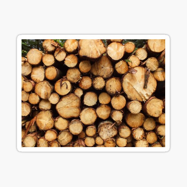 "A pile of logs wood photography" Sticker for Sale by Terezas-Art ...