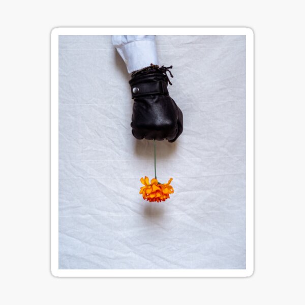 "Flower-Boy" Sticker for Sale by jamesodo | Redbubble