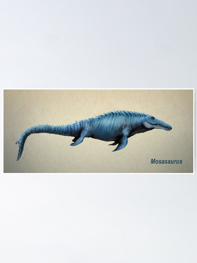 "Mosasaurus" Poster for Sale by thek560 | Redbubble