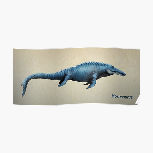 "Mosasaurus" Poster for Sale by thek560 | Redbubble