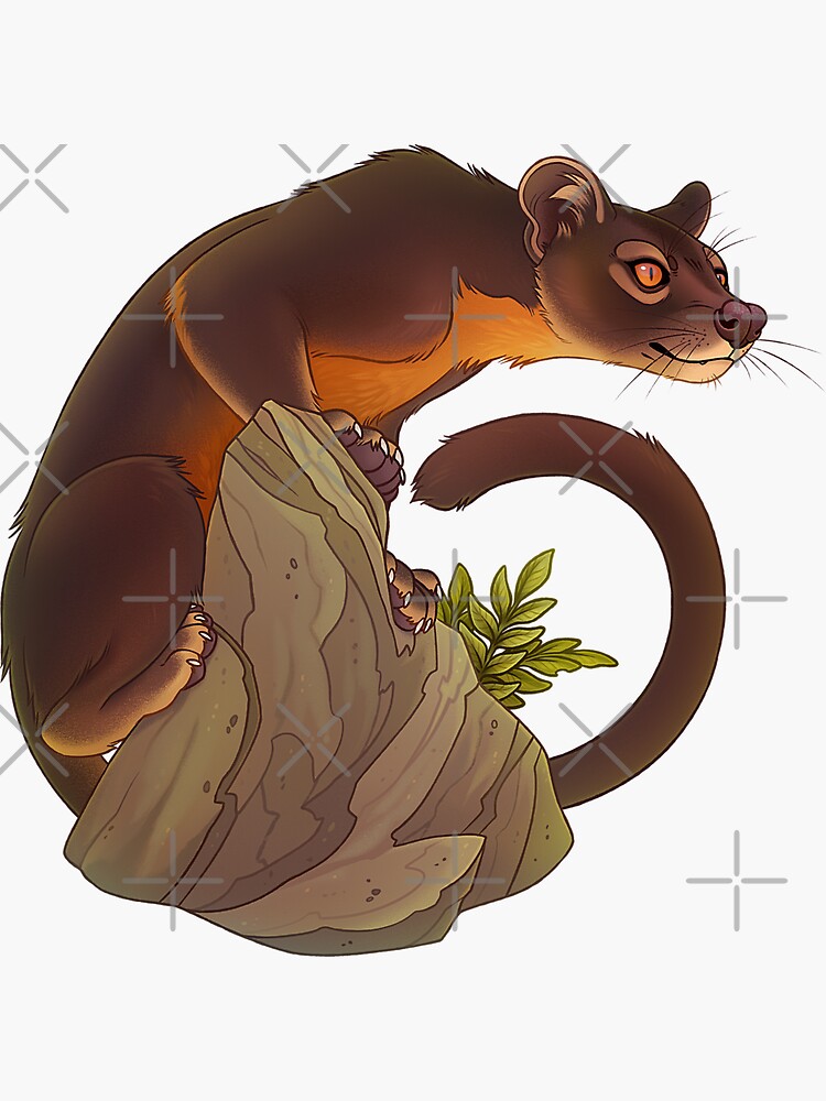 "Fossa" Sticker for Sale by Mr-Lemur | Redbubble
