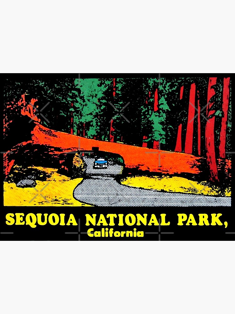 "Sequoia National Park Drive Thru Tree Vintage Travel Decal" Sticker by ...