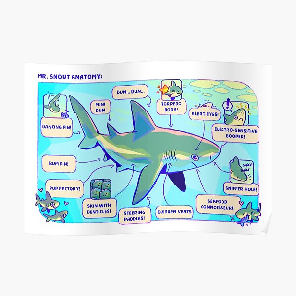 "Mr. Snout Anatomy" Poster for Sale by Requinoesis | Redbubble