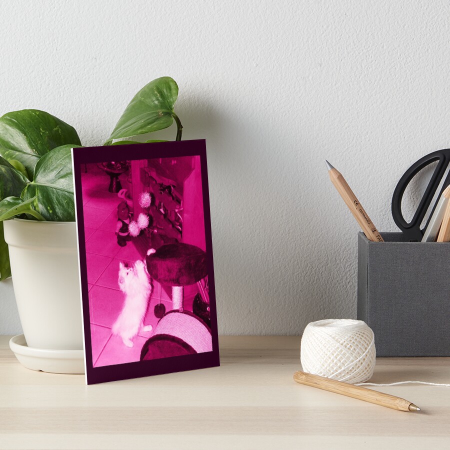 "White Persian Fluffy Baby Cat Nyssa Playing (Photo by ACCI)" Art Board ...