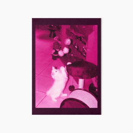 "White Persian Fluffy Baby Cat Nyssa Playing (Photo by ACCI)" Art Board ...