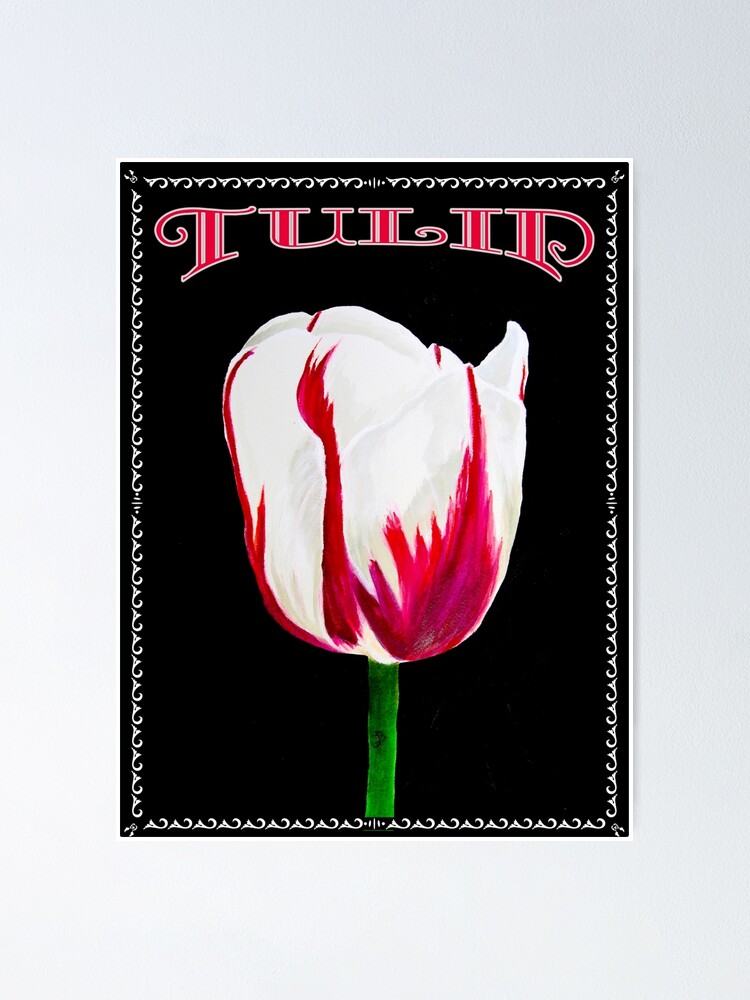 "Burgundy Tulip Label" Poster for Sale by PaintedbyCarol | Redbubble
