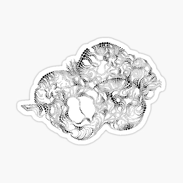 ".loquats " Sticker for Sale by FjordForest | Redbubble