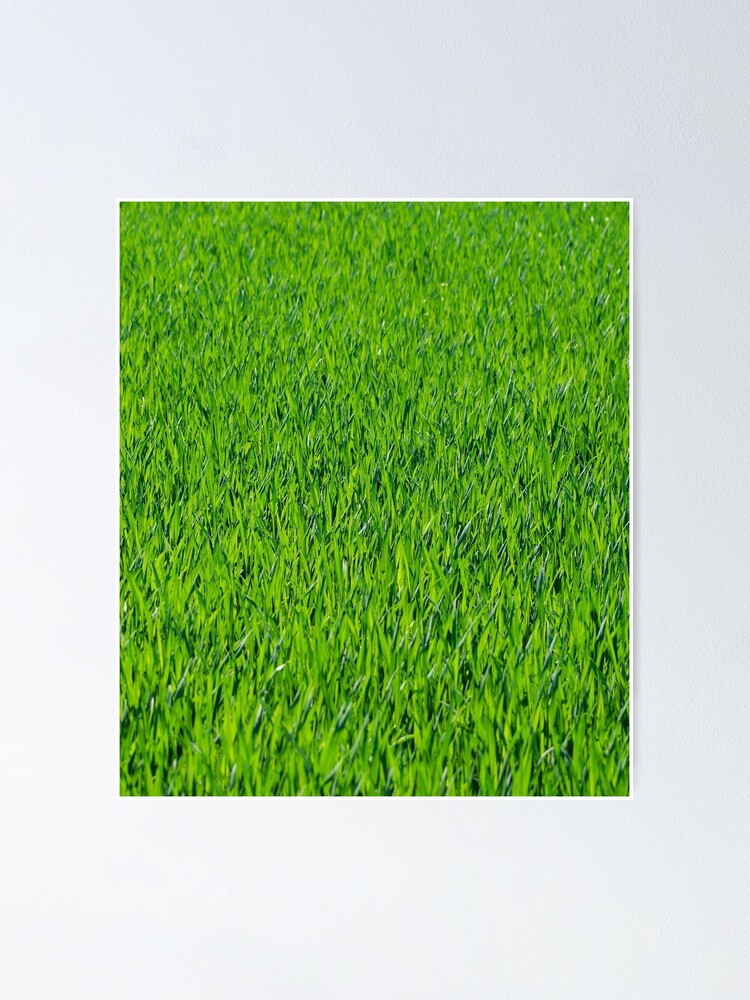 "On the green grass." Poster for Sale by Onetops | Redbubble
