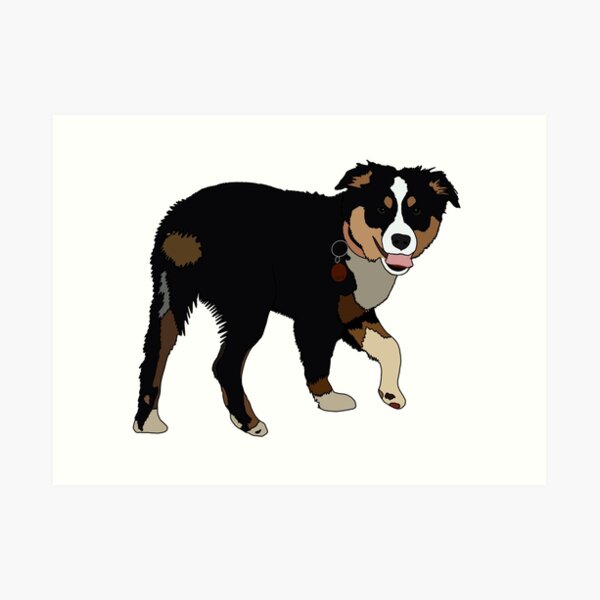 "Mini aussie" Art Print by gabrandy | Redbubble