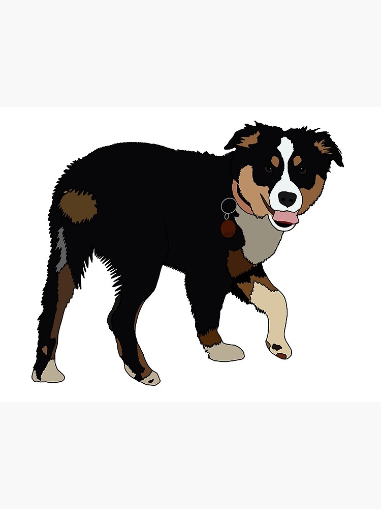 "Mini aussie" Art Print by gabrandy | Redbubble
