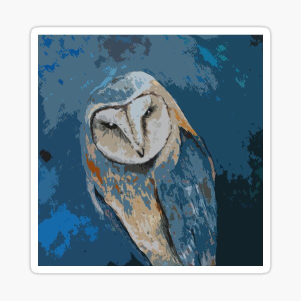 "Barn Owl Art" Sticker for Sale by nicolamorgan | Redbubble