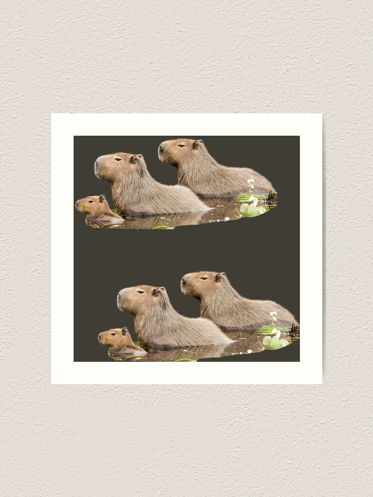 "5th Double Baby Chillin Family Capybara Stickers Package. Funny ...