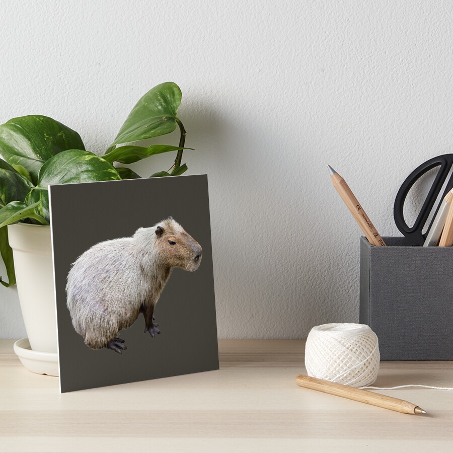 "6th Grey Sad Nostalgic Single Capybara Stickers Package. Funny ...