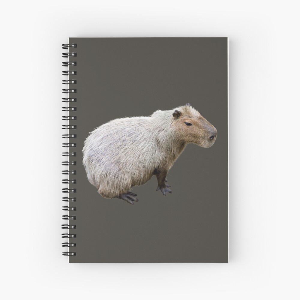 "6th Grey Sad Nostalgic Single Capybara Stickers Package. Funny ...