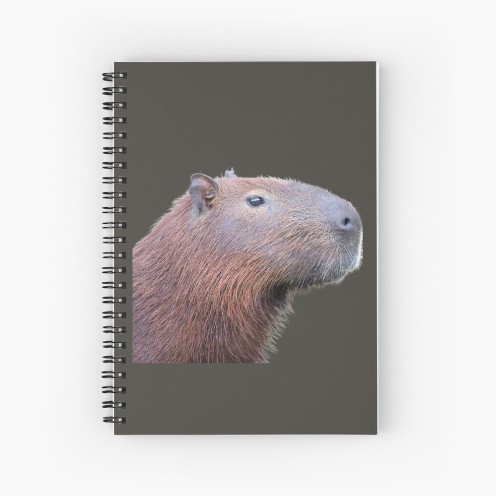 "1st Head Capybara Surprised Capybara Stickers Package. Funny Capybaras ...