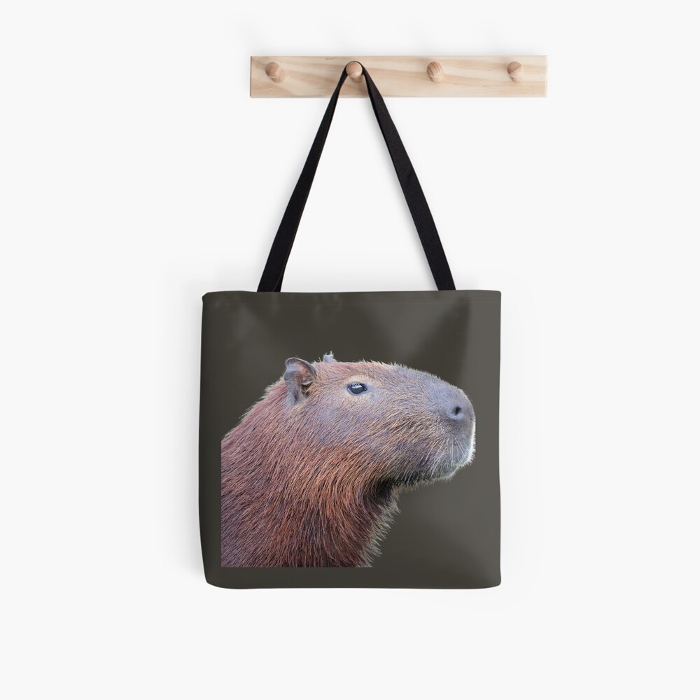 "1st Head Capybara Surprised Capybara Stickers Package. Funny Capybaras ...