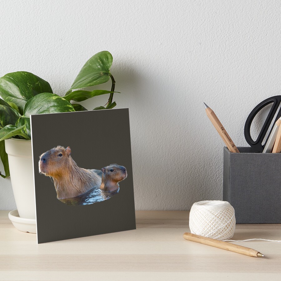 "2nd Swimming Young And Old Majestic Capybara Stickers Package. Funny ...