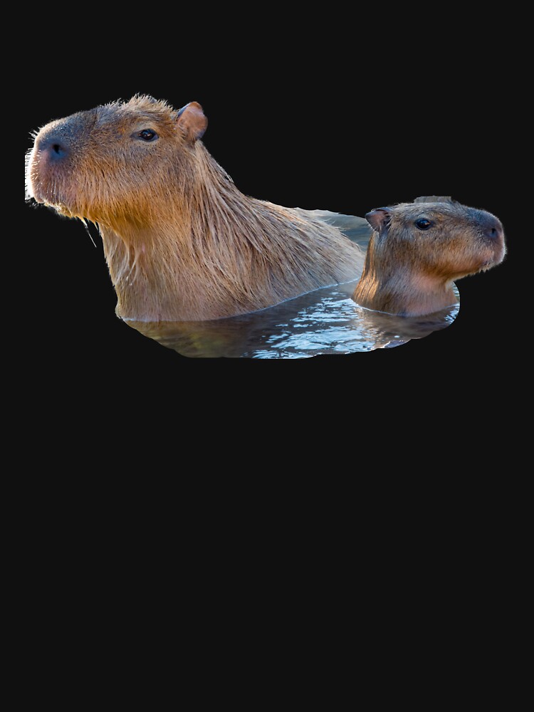 "2nd Swimming Young And Old Majestic Capybara Stickers Package. Funny ...