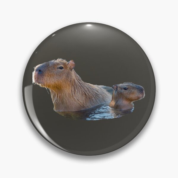 "2nd Swimming Young And Old Majestic Capybara Stickers Package. Funny ...