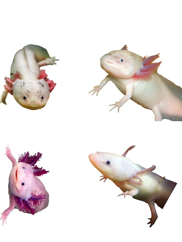 Minifalda «1er paquete de pegatinas Goofy Axolotl. ¡Mascotas divertidas ...