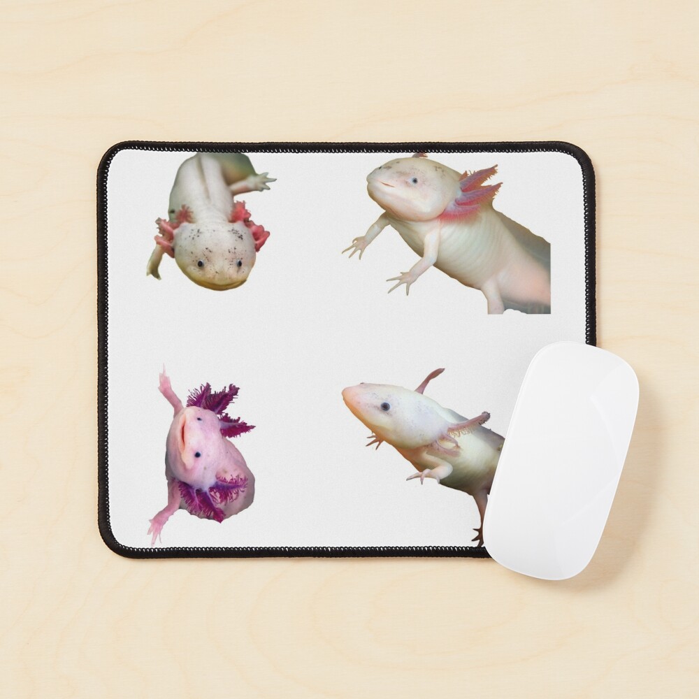 "1st Goofy Axolotl Stickers Package. Funny, Adorable And Cute Axolotls ...