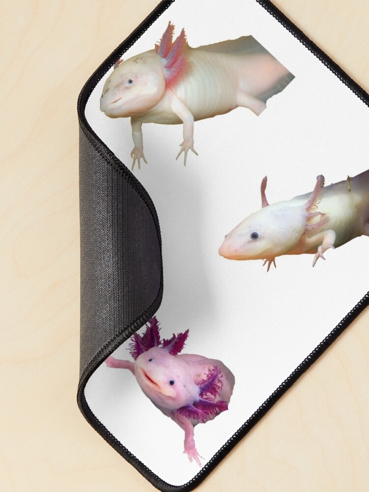 "1st Goofy Axolotl Stickers Package. Funny, Adorable And Cute Axolotls ...