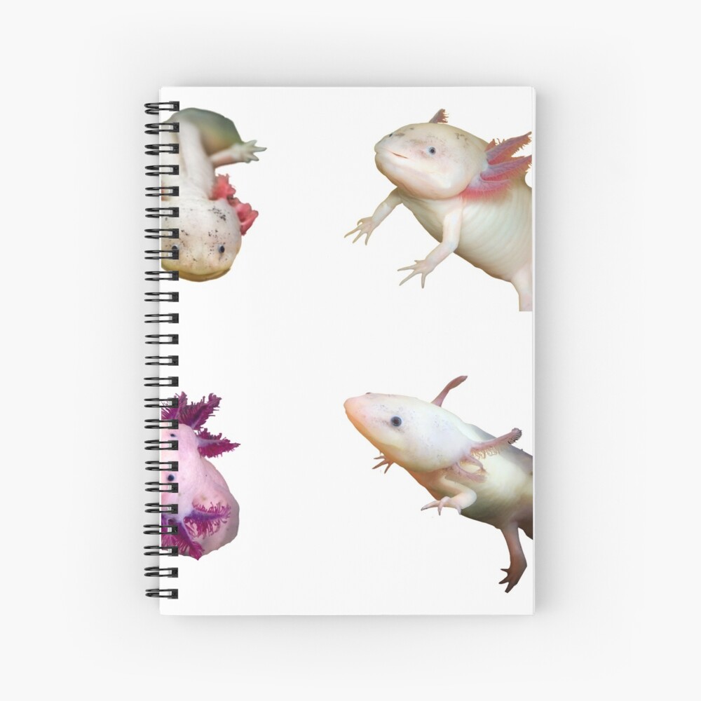 "1st Goofy Axolotl Stickers Package. Funny, Adorable And Cute Axolotls ...