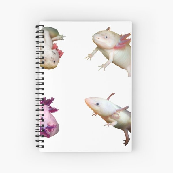 "1st Goofy Axolotl Stickers Package. Funny, Adorable And Cute Axolotls ...