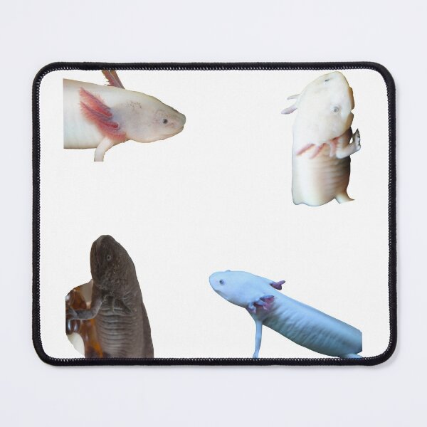 "2nd Goofy Axolotl Stickers Package. Funny, Adorable And Cute Axolotls ...