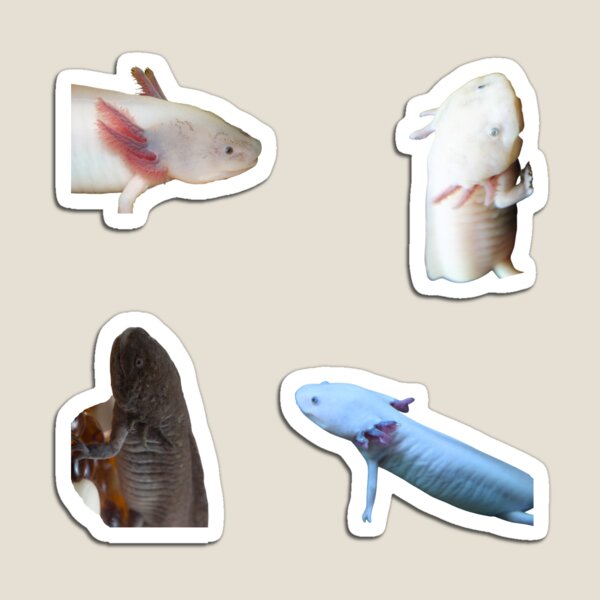 "2nd Goofy Axolotl Stickers Package. Funny, Adorable And Cute Axolotls ...