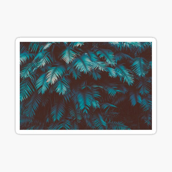 "lush tropical leaves " Sticker for Sale by cucumber-guru | Redbubble