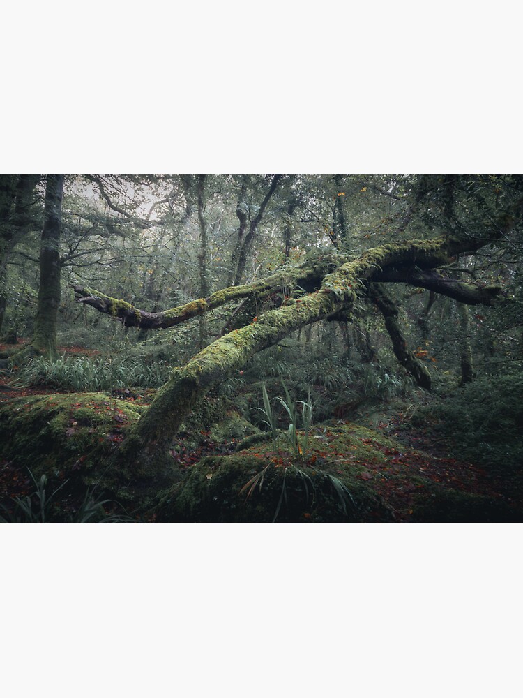 "TREVAYLOR TRIFFID" Sticker by Andrew-Hocking | Redbubble