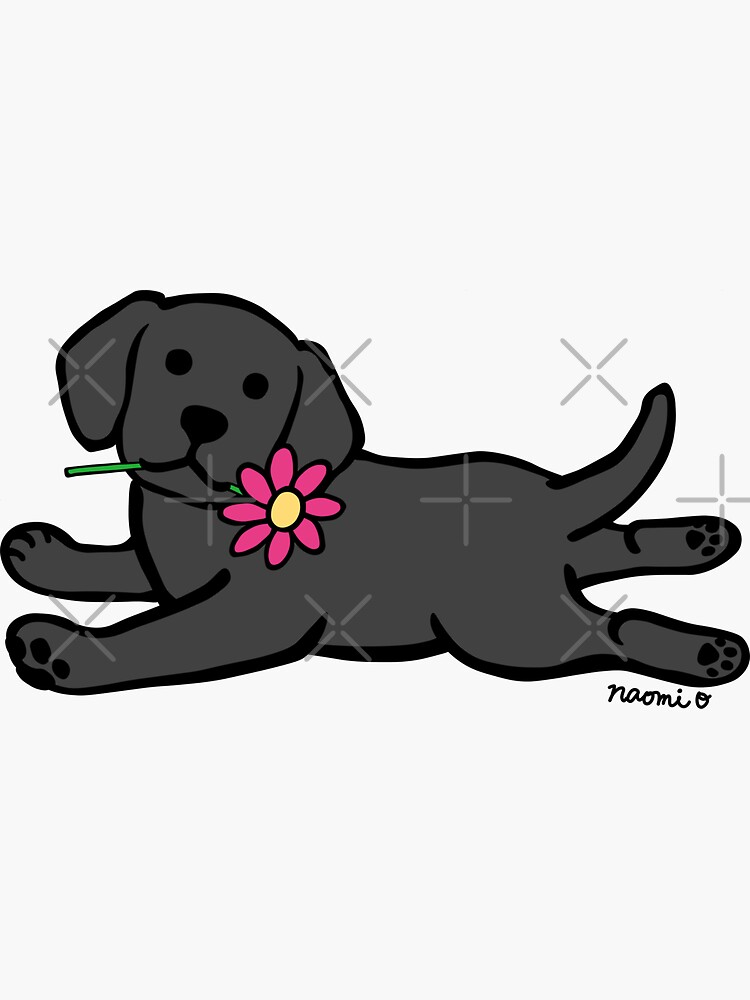 "Black Labrador Puppy and Daisy" Sticker for Sale by HappyLabradors ...