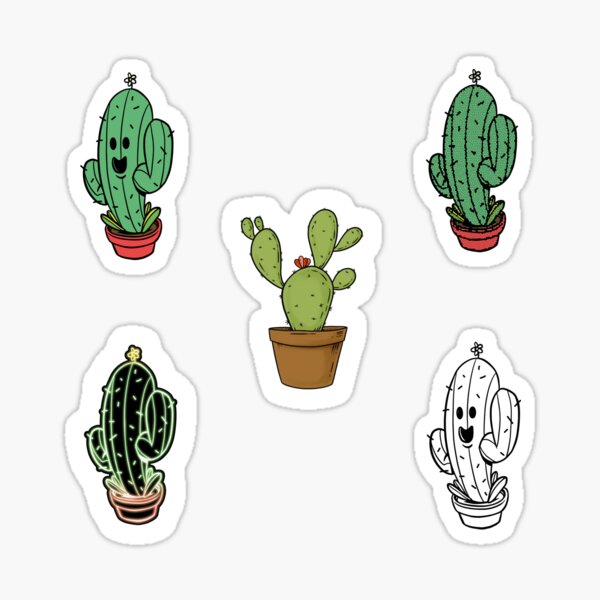 "cactus little plants in little pots Catus heartbeat Cactus lover Catus ...