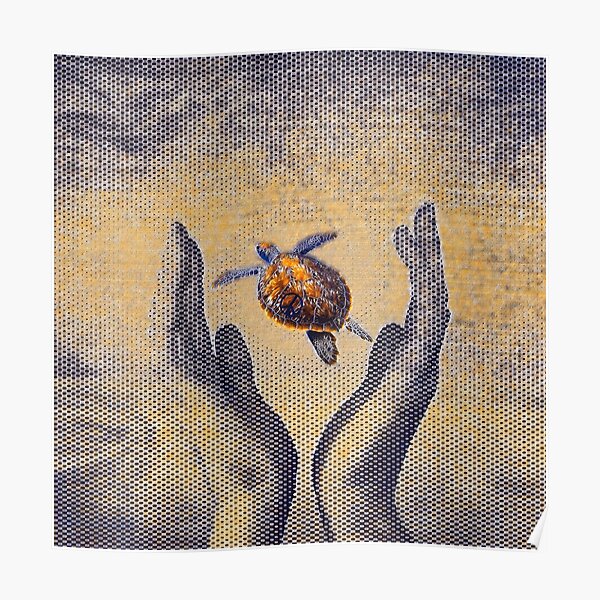 "Sea turtles peace" Poster by umfhn | Redbubble