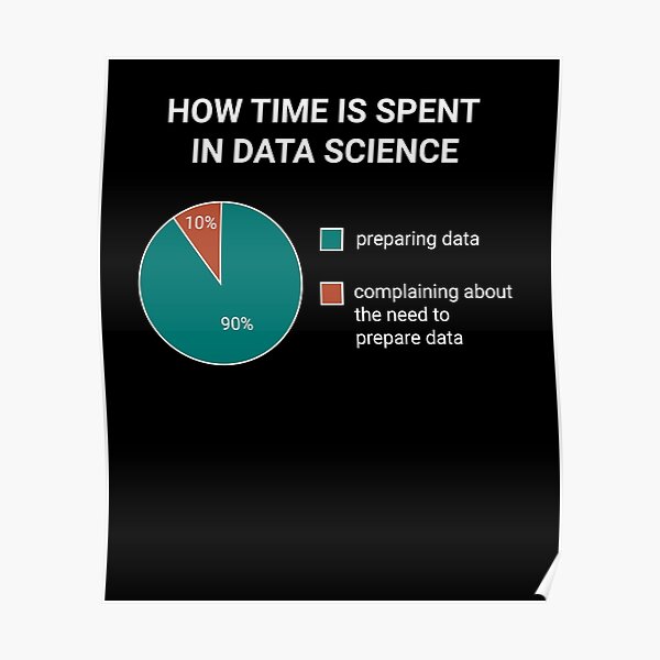 "Funny Data Science How Much Time Is Spent on Data Cleansing" Poster ...