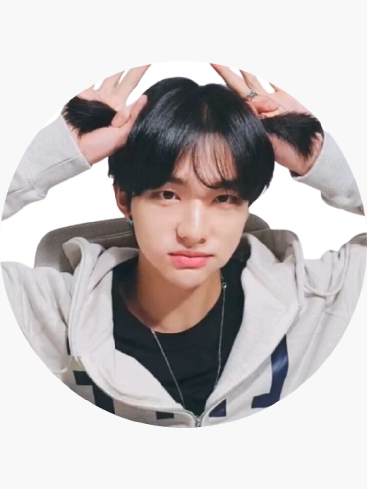"Stray Kids - Hyunjin - Cute Hair " Sticker for Sale by BobaBit | Redbubble